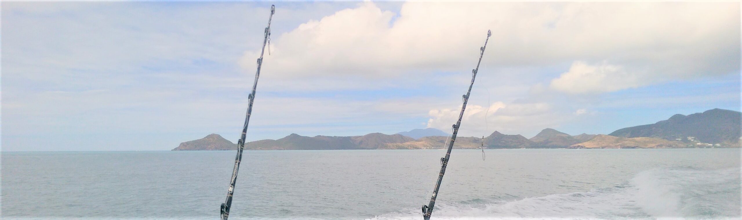 Trolling Angles – An Android App to Determine Trolling Depth